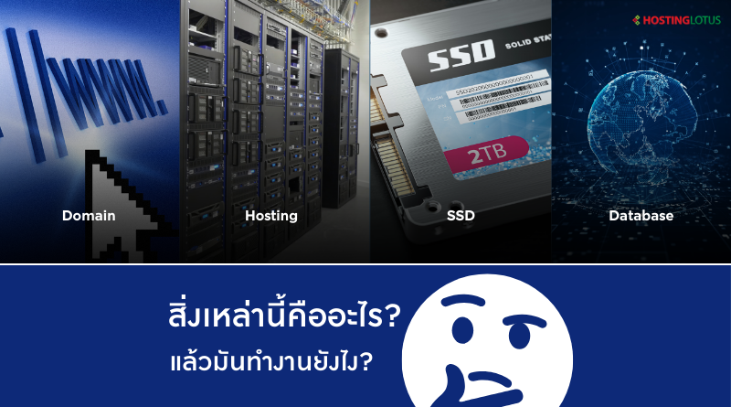 Hosting Domain SSD และ Database คืออะไร? เชื่อมโยงกันยังไง?